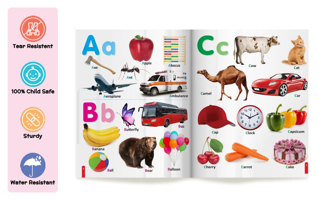 ABC Picture Dictionary | My First Book (Can be Wiped clean) - Sawan Books