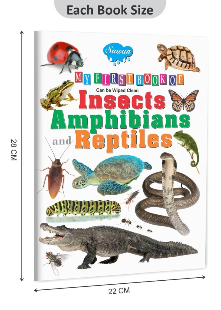 My First Book of Amphibians and Reptiles | My First Book (Can be Wiped ...