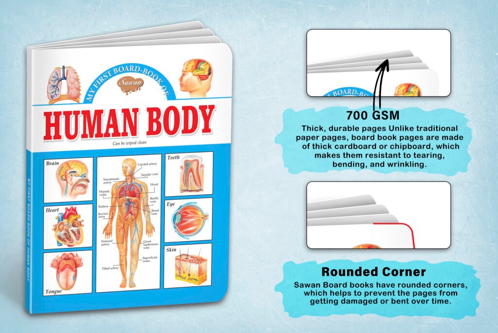 Human Body | My First Board-Book | Early Learning Picture Book - Sawan ...