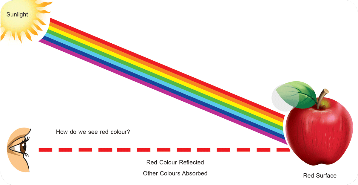 Why can we see so many colours in the world? - Sawan Books