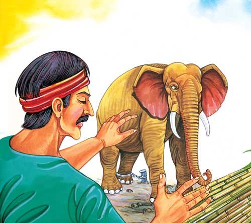 An Elephant And Six Blindmen - Sawan Books
