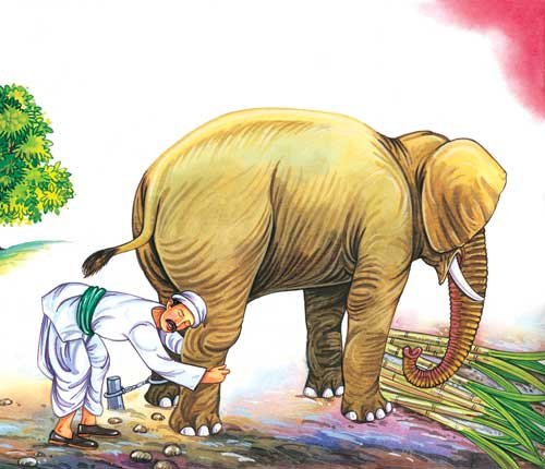 An Elephant And Six Blindmen - Sawan Books
