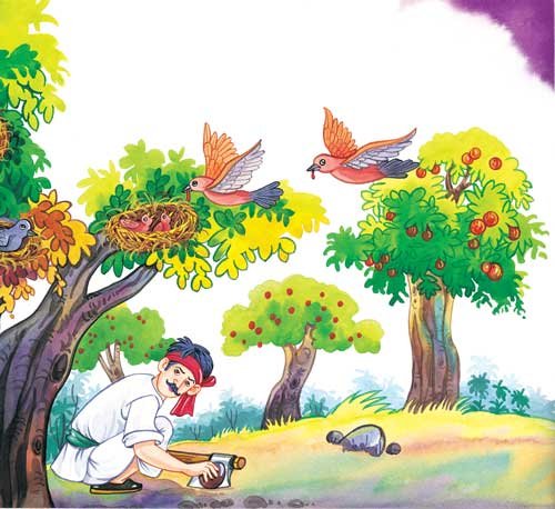 The Apple Tree - Sawan Books