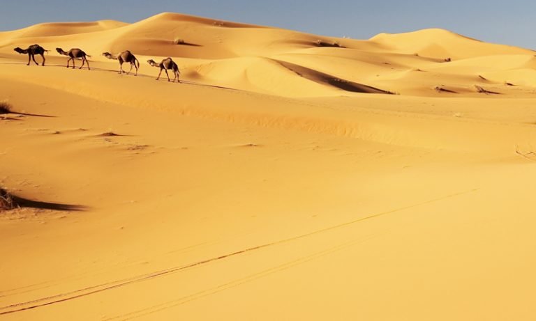 Sahara (Desert) - Sawan Books