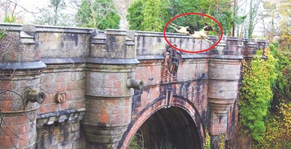 Overtoun Bridge - Sawan Books