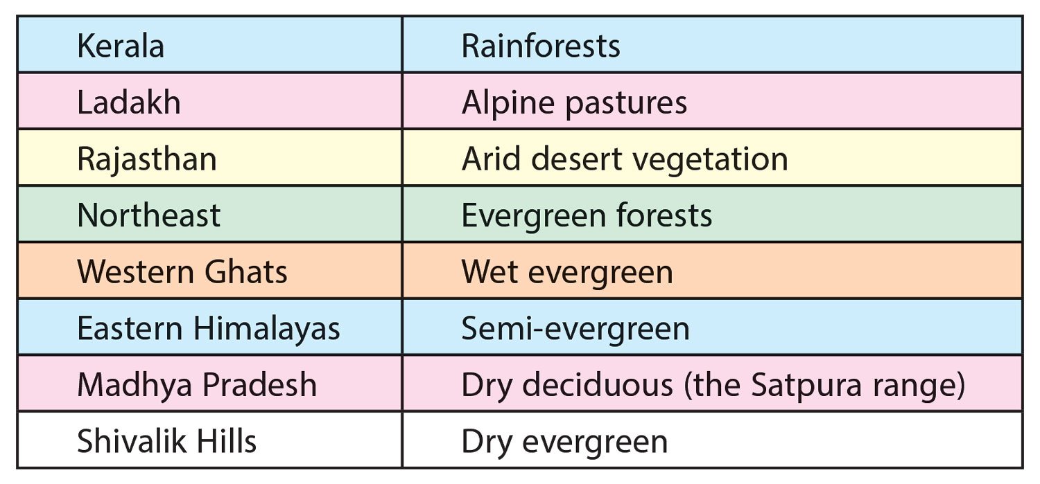 Indian Forests - Sawan Books