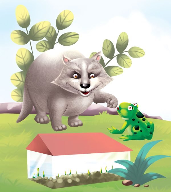 The Raccoon and the Talking Frog - Sawan Books