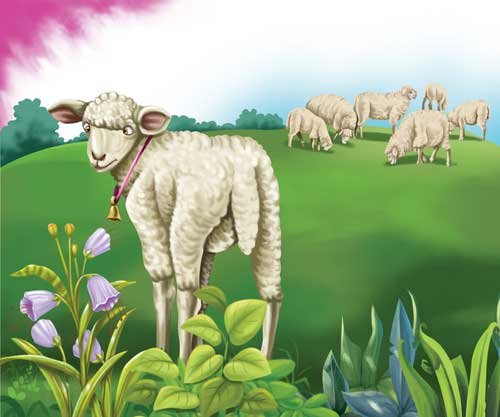 The Crafty Wolf And The Clever Lamb - Sawan Books