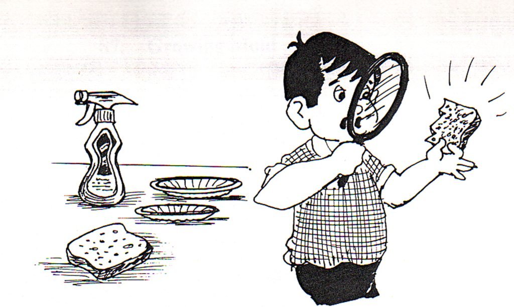 Growing Mold (Science Experiments) - Sawan Books