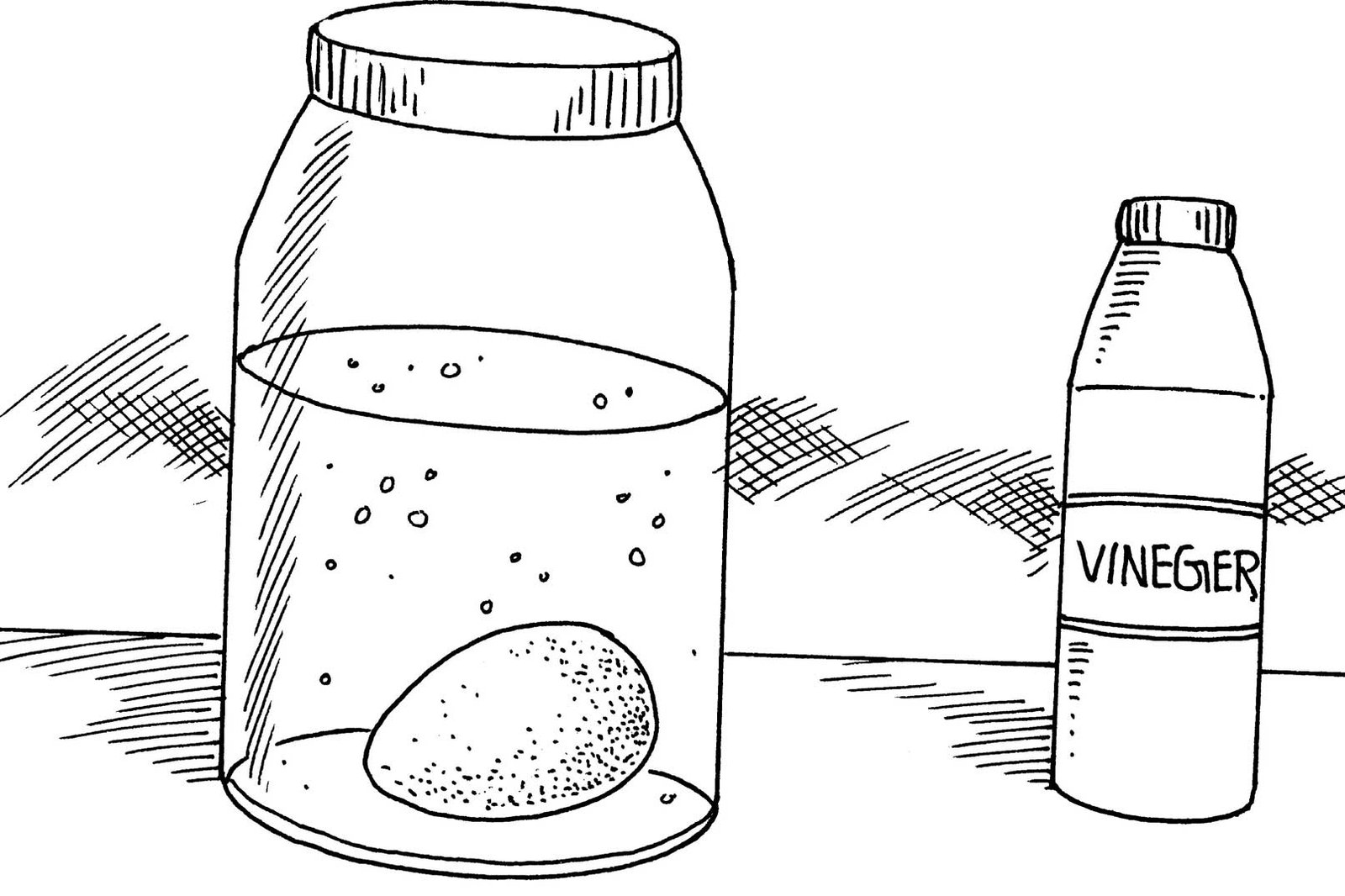 Naked Egg (Chemistry Experiments) - Sawan Books