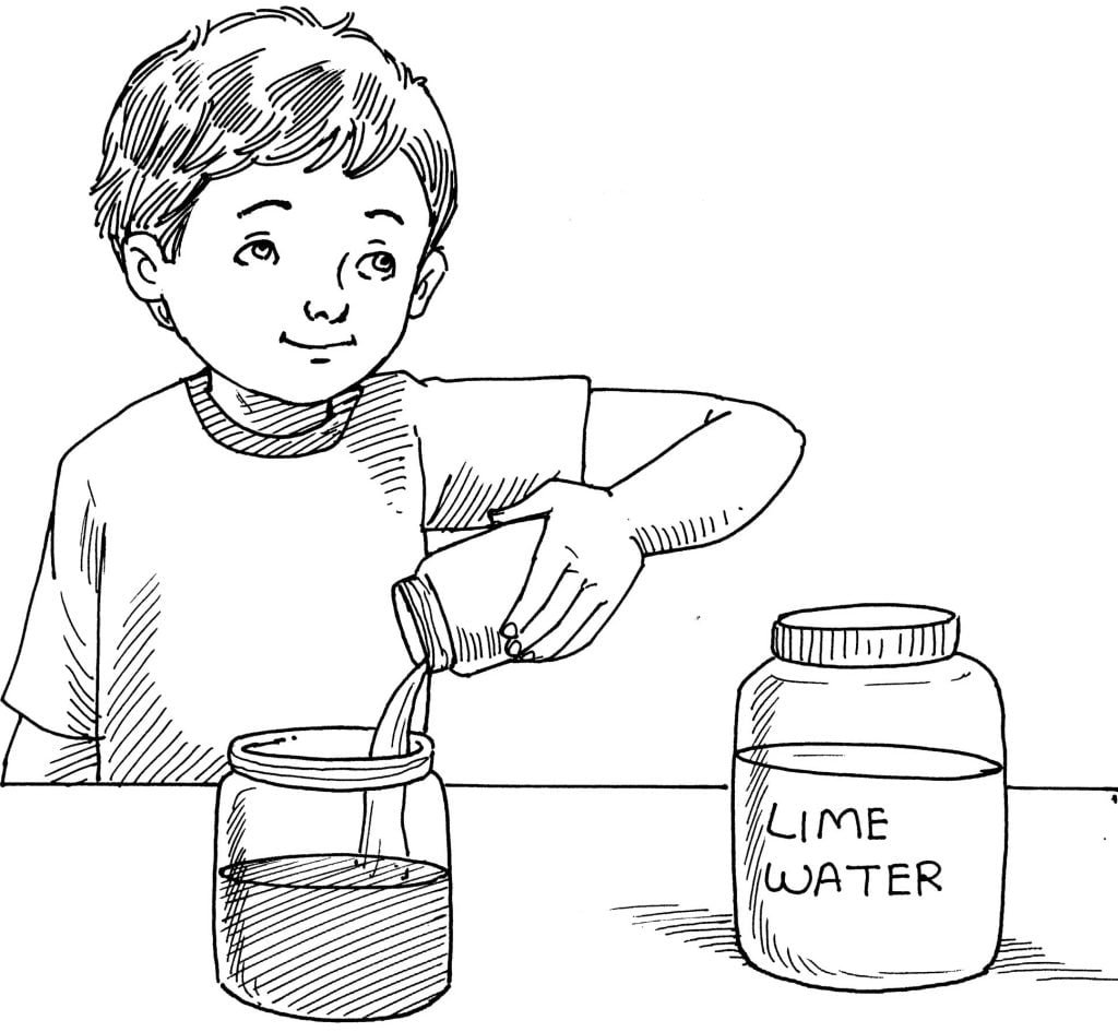 Making Limestone From Limewater (Chemistry Experiments) - Sawan Books