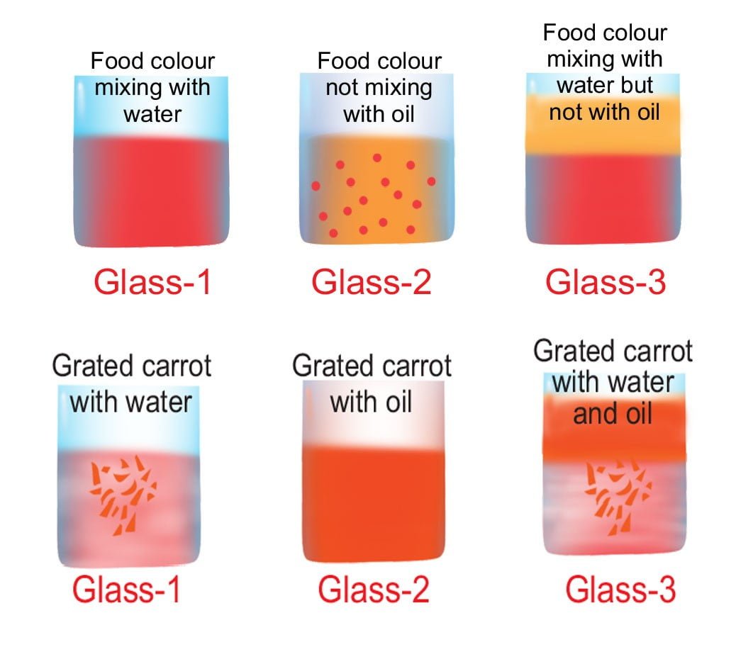 The Orange in Carrots (Super Science Experiments) - Sawan Books