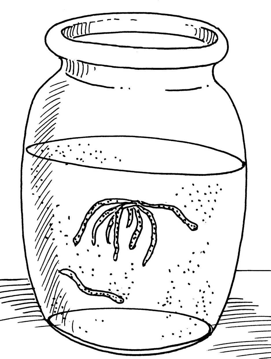 Bending Bones (Chemistry Experiments) - Sawan Books