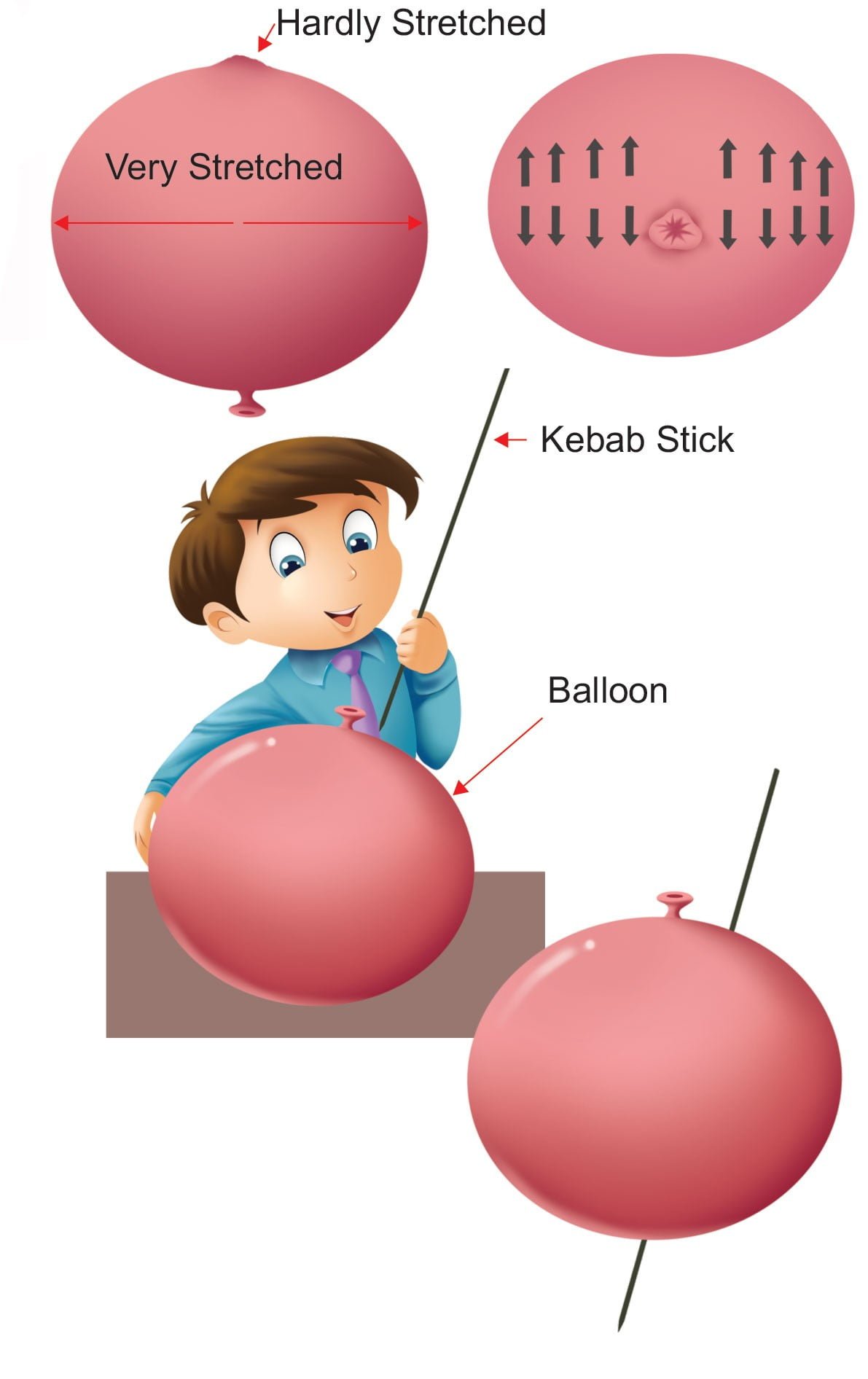 Kebab (Funky Physics Experiments) - Sawan Books