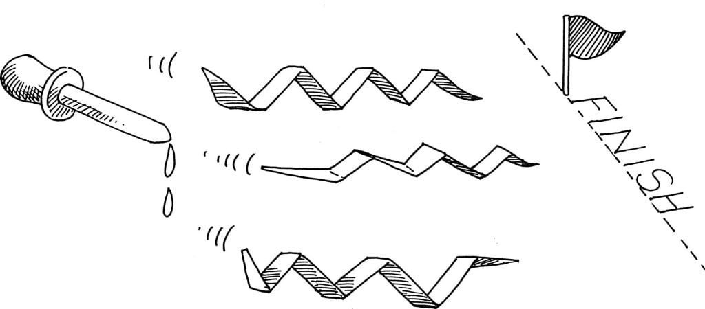 Flatworm Race (Chemistry Experiments) - Sawan Books