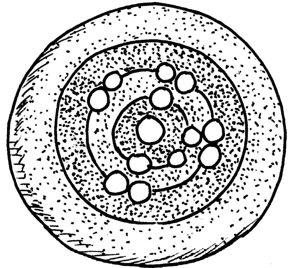 Model Of Atomic Orbits (Chemistry Experiments) - Sawan Books