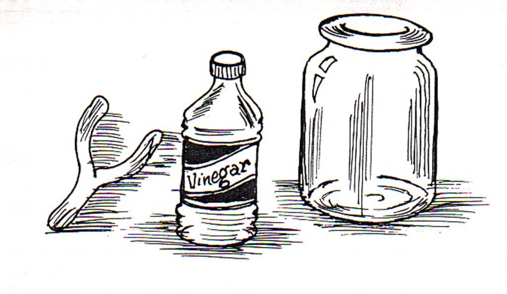 Rubbery Bones (Science Experiments) - Sawan Books