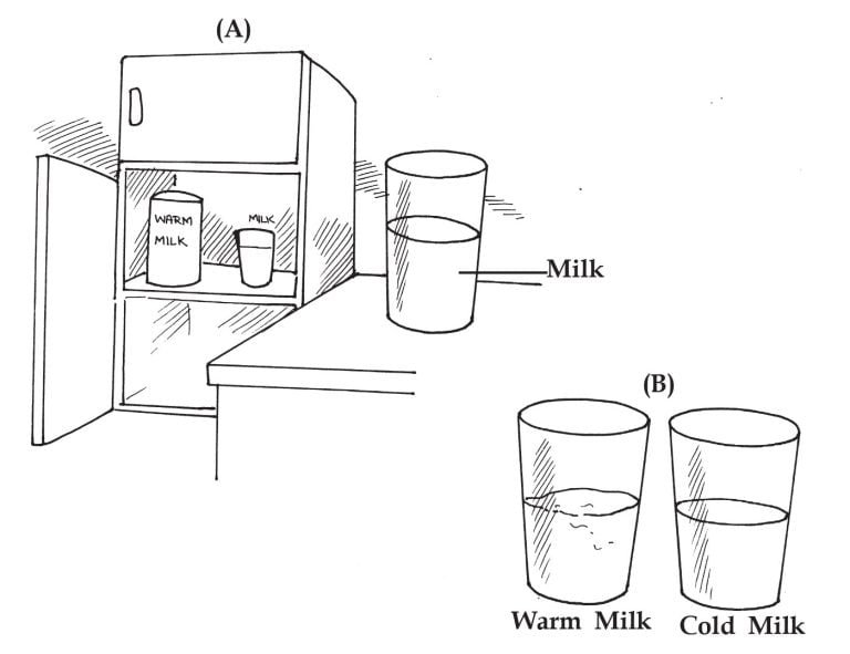 Bacterial Development (Biology Experiments) - Sawan Books