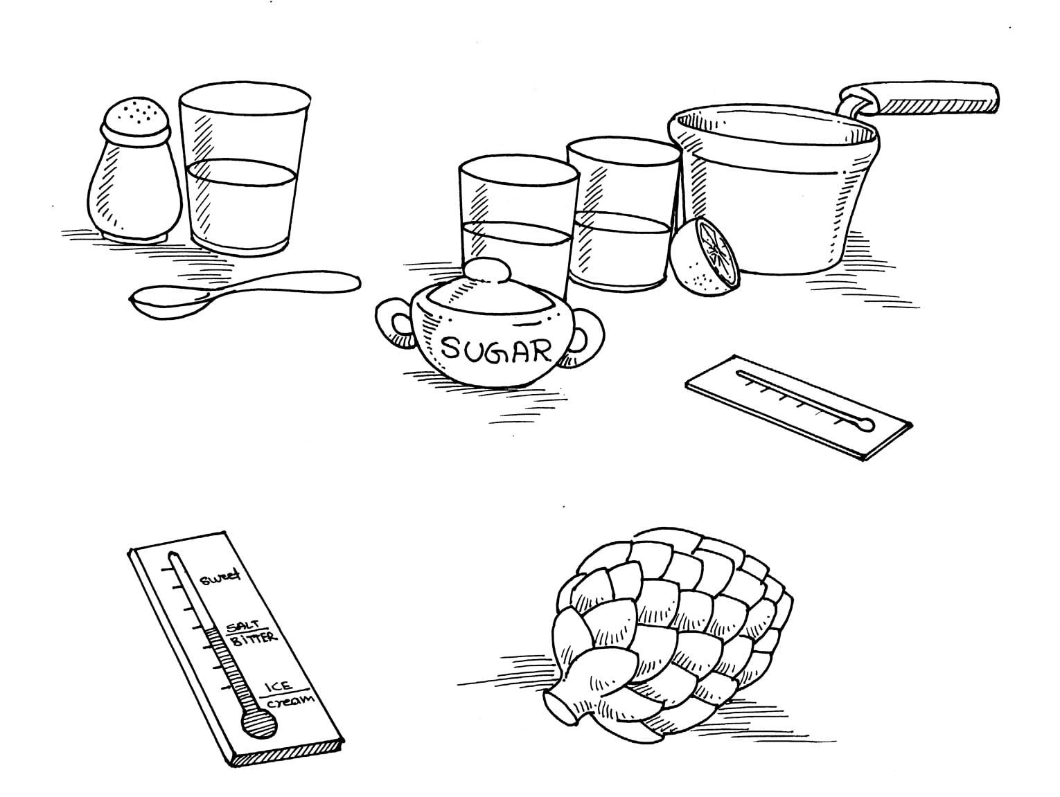 Temperature and Taste (Biology Experiments) - Sawan Books