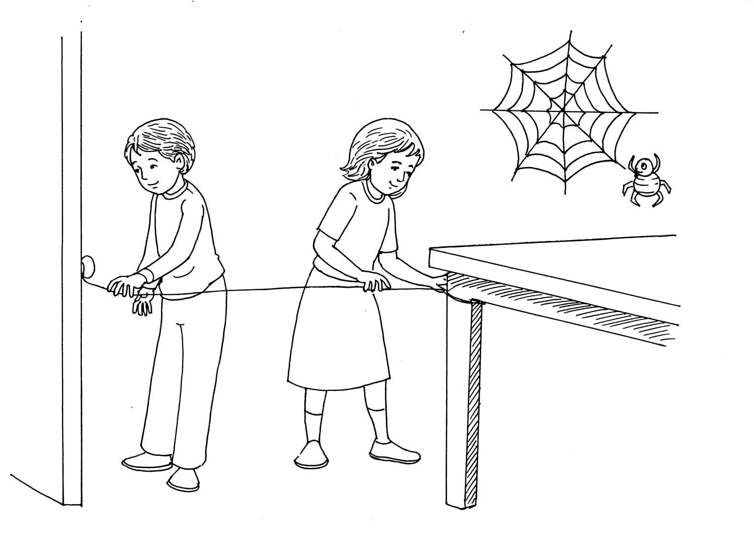 Spider Telegraph Lines (Biology Experiments) - Sawan Books