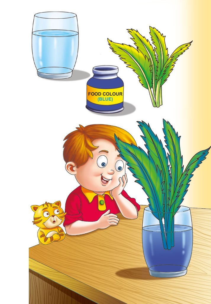 Secret lines (Amazing Science Games and Experiments) - Sawan Books