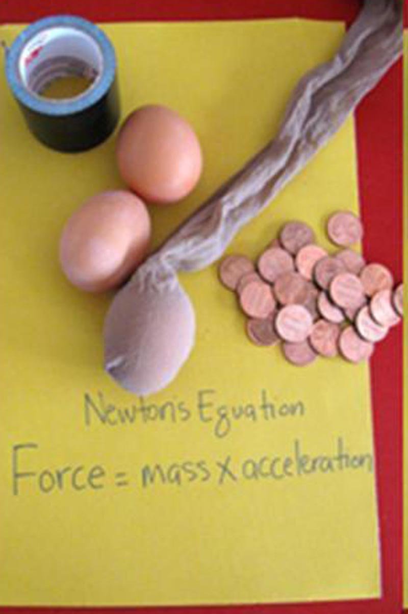 Bungee Jump … With Eggs! - Sawan Books