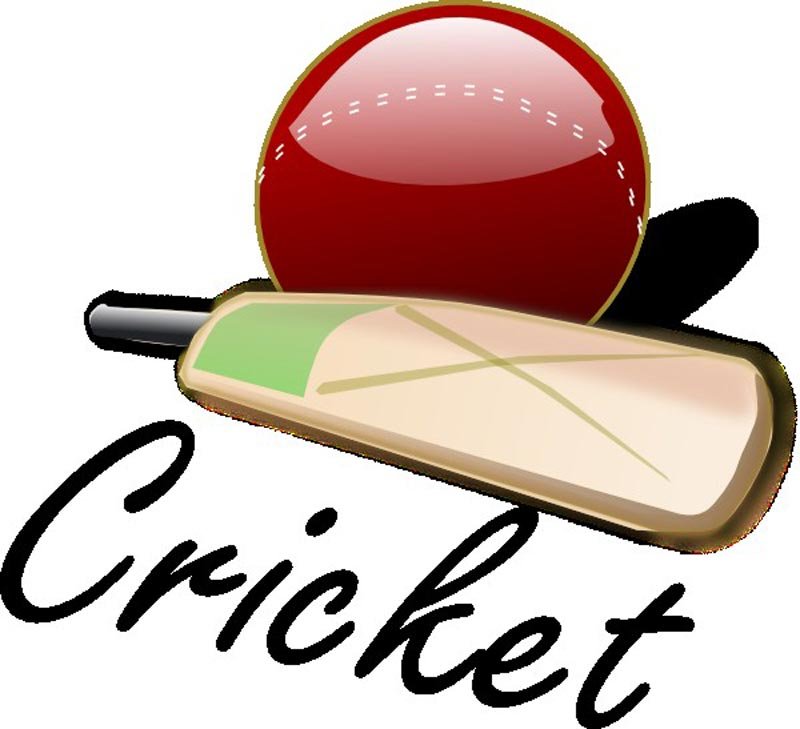 Cricket Balls - Sawan Books