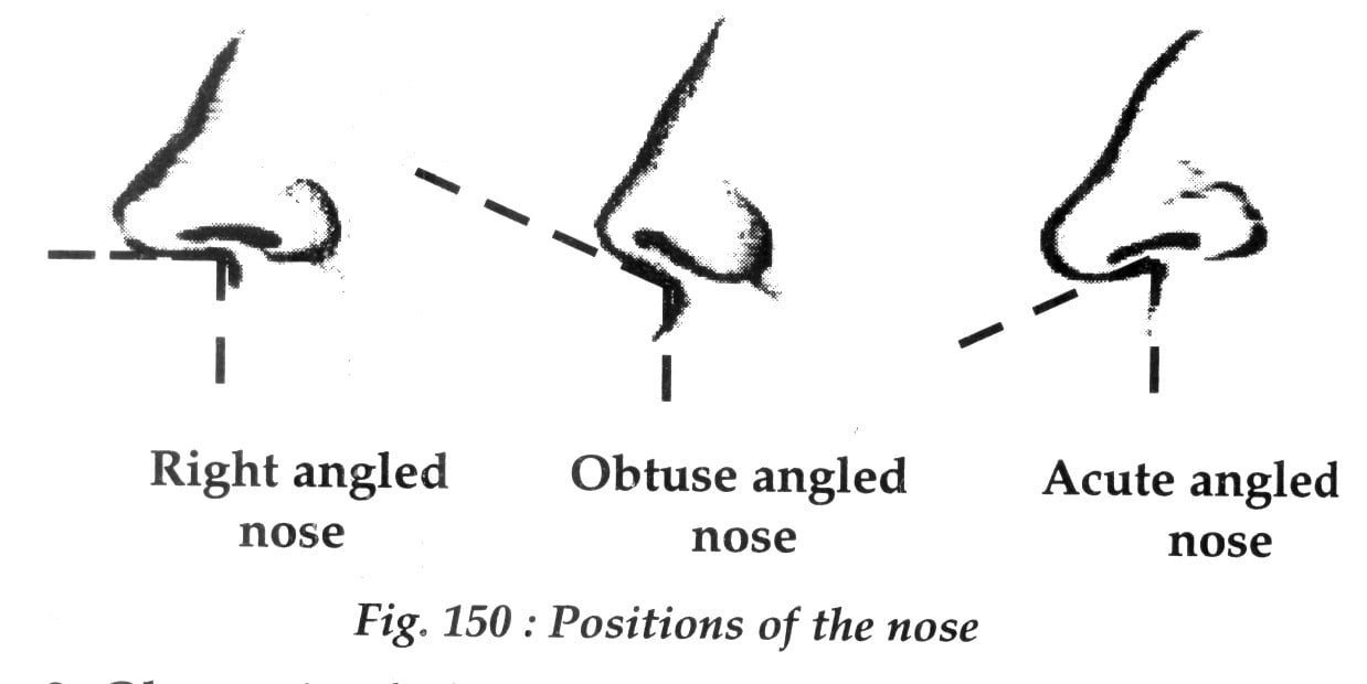The Nose - Sawan Books