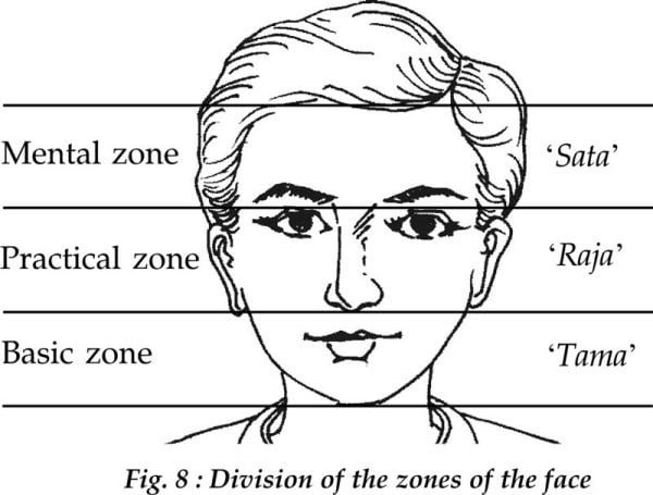 The Zones of the Face - Sawan Books