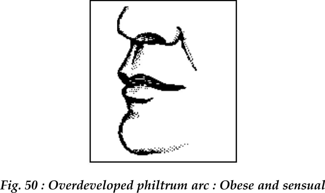 Philtrum and Philtrum Arc - Sawan Books