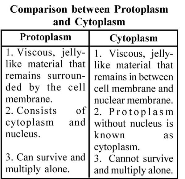 3. Cell Structure, Cellular Respiration and Cell Division - Sawan Books