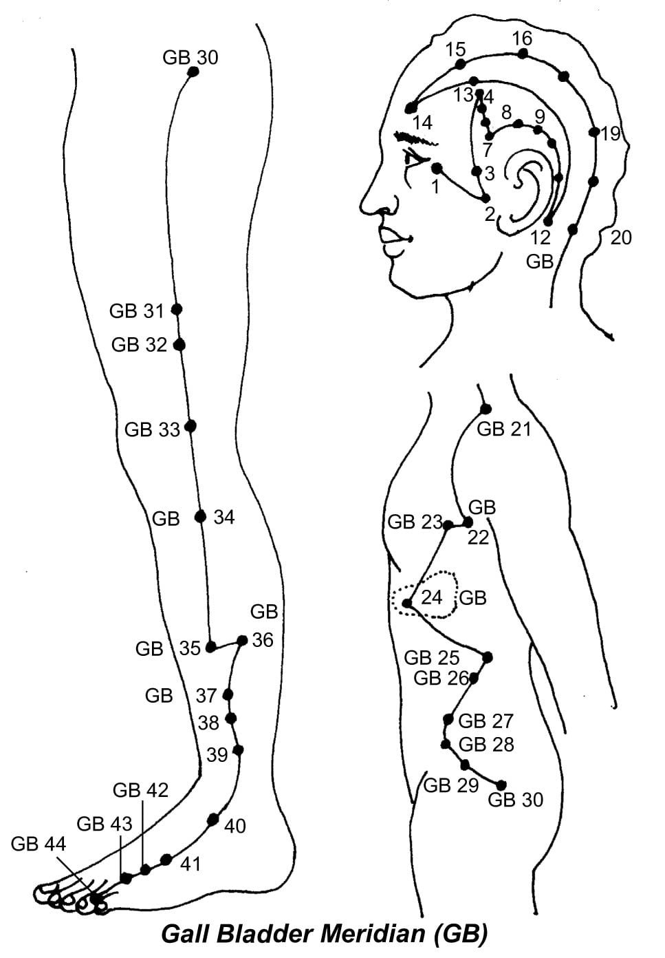 13. MERIDIANOLOGY FOR ADVANCE ACUPRESSURE - Sawan Books