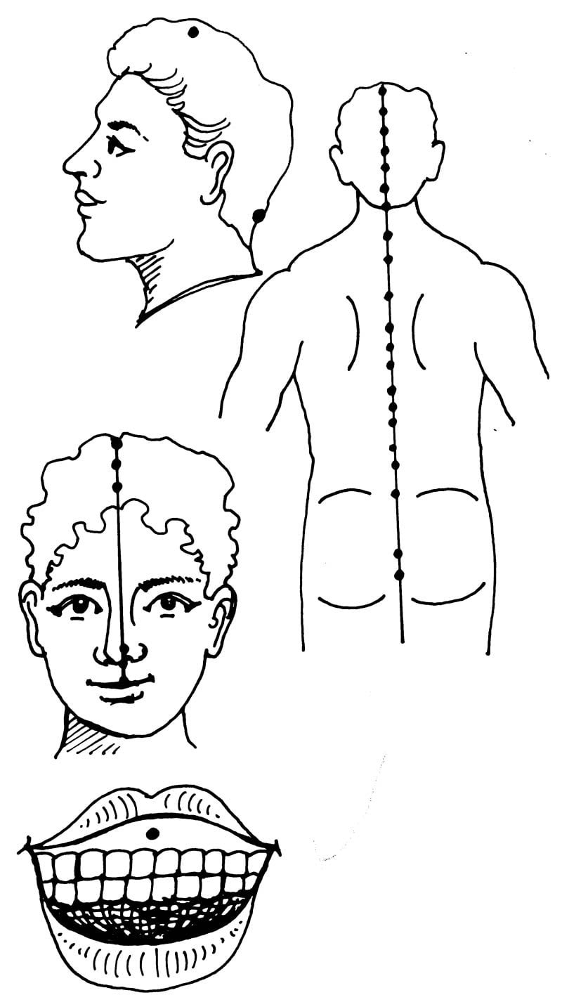 13. MERIDIANOLOGY FOR ADVANCE ACUPRESSURE - Sawan Books
