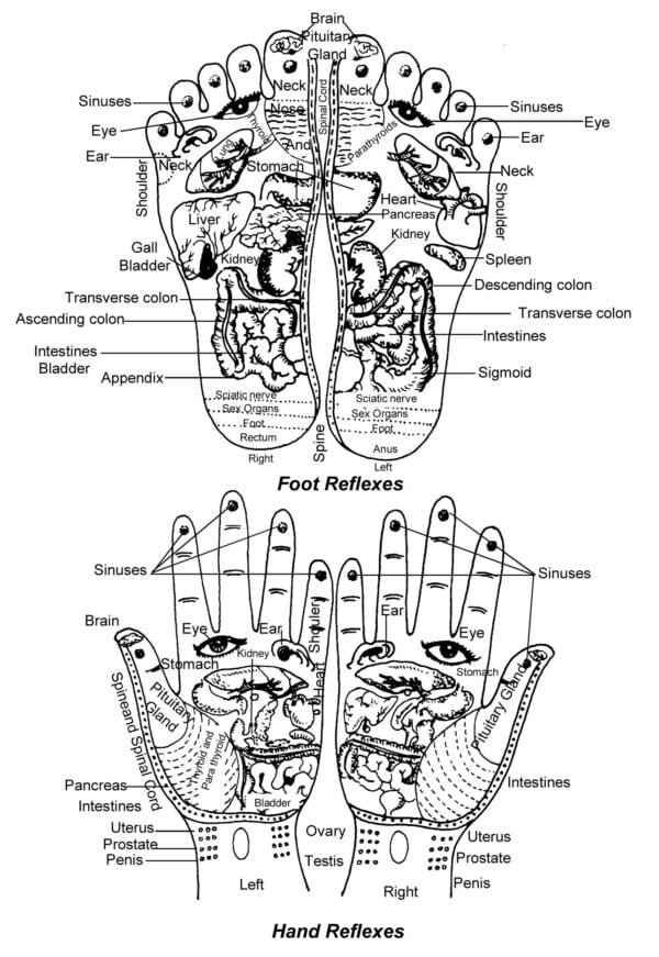8. Illustrations To Know Reflex Points - Sawan Books
