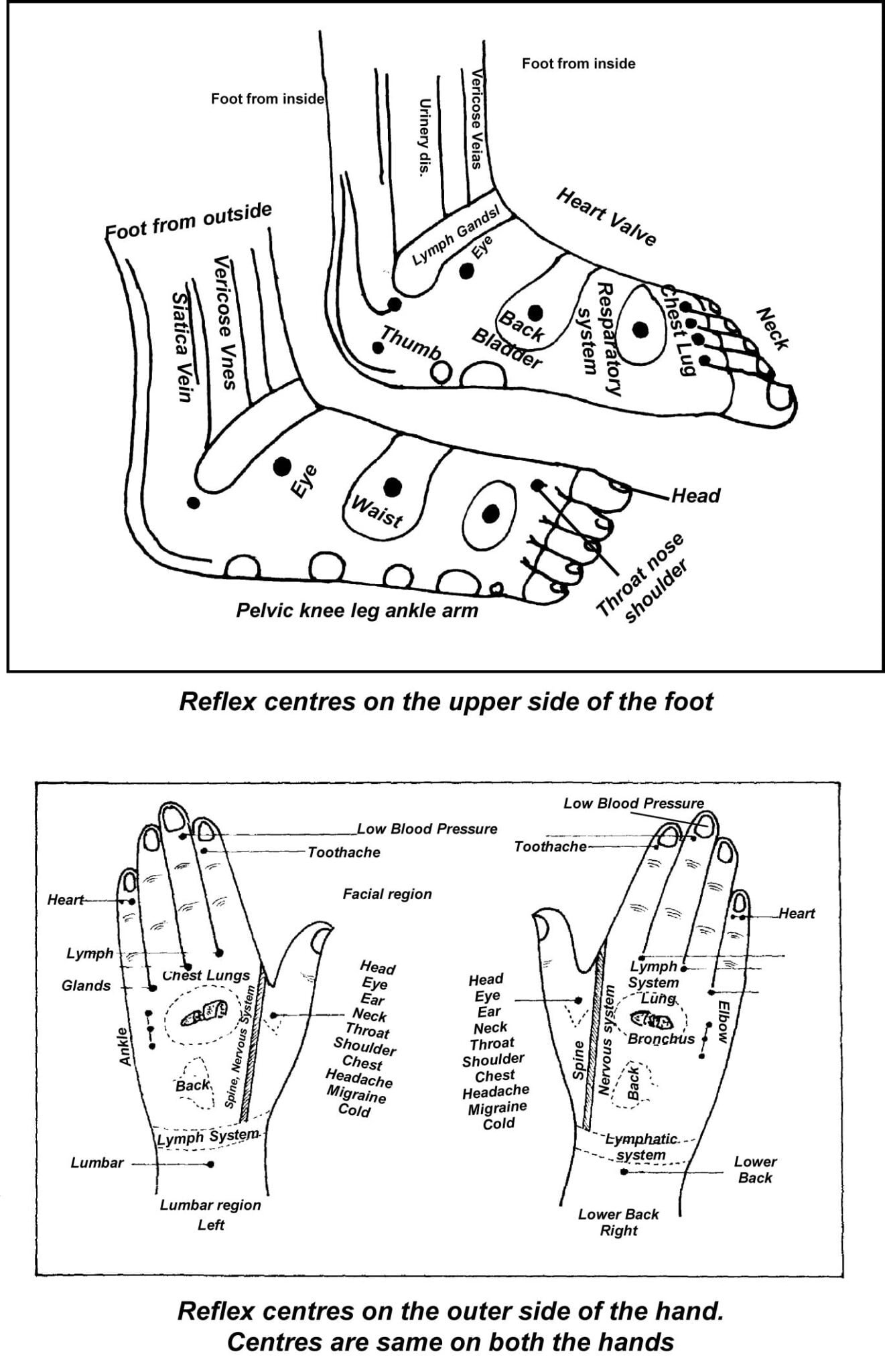 8. Illustrations To Know Reflex Points - Sawan Books