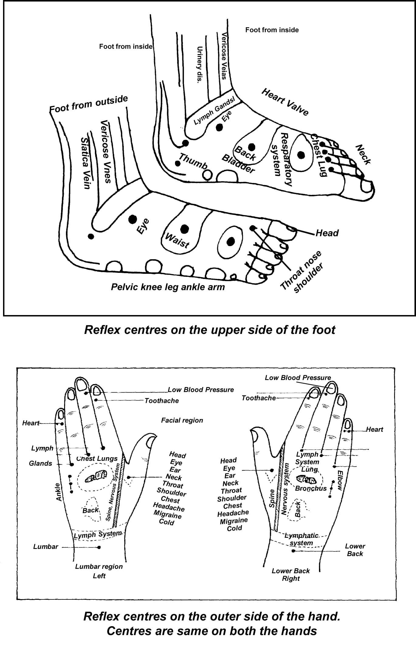 8. Illustrations To Know Reflex Points - Sawan Books